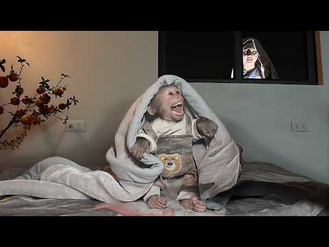 Lala's stubborn and mischievous attitude earned her a memorable lesson from Mom!