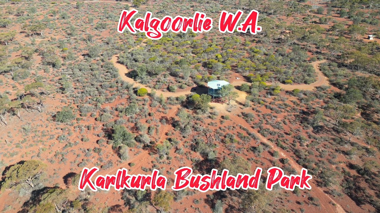Karlkurla Bushland Park, Kalgoorlie W.A. - YouTube