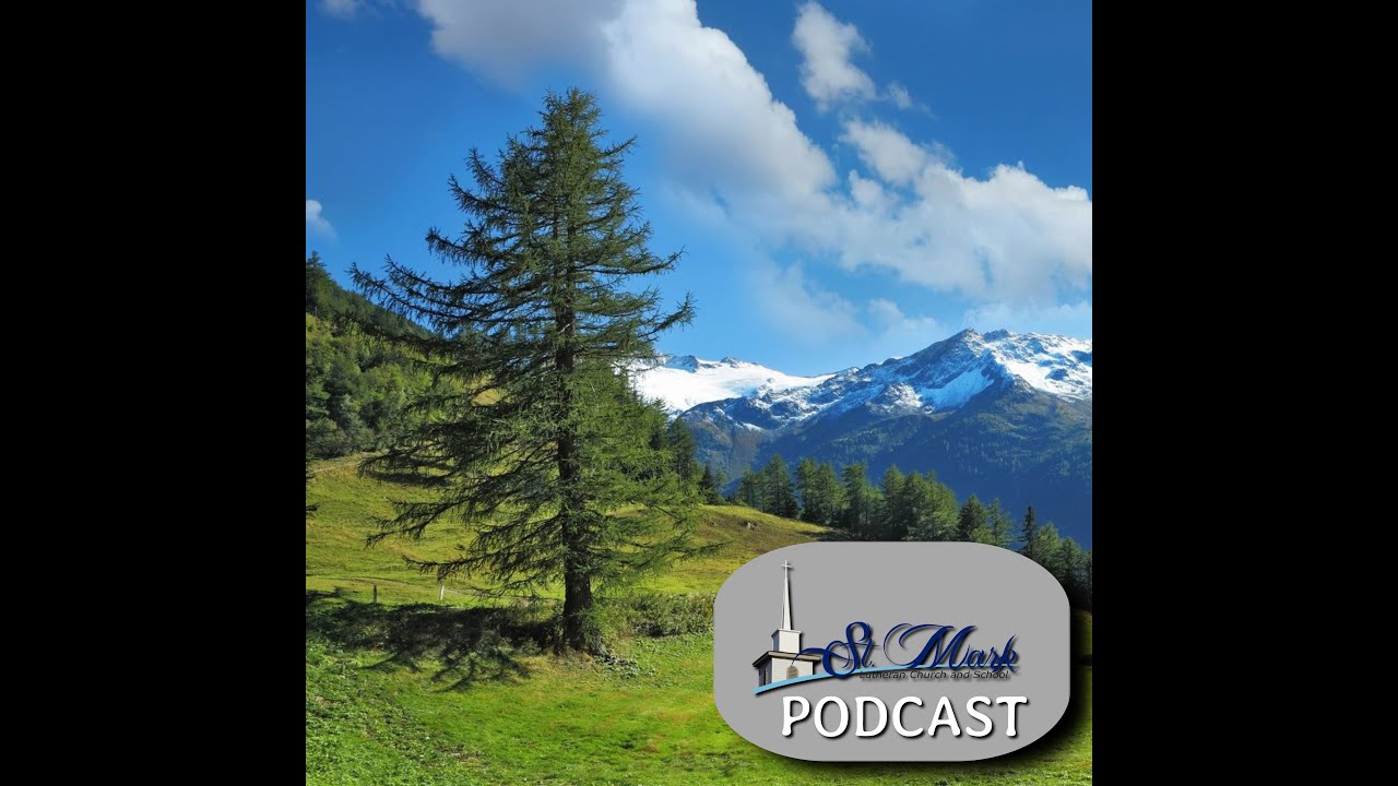The Evergreen Tree of God's Faithfulness - YouTube
