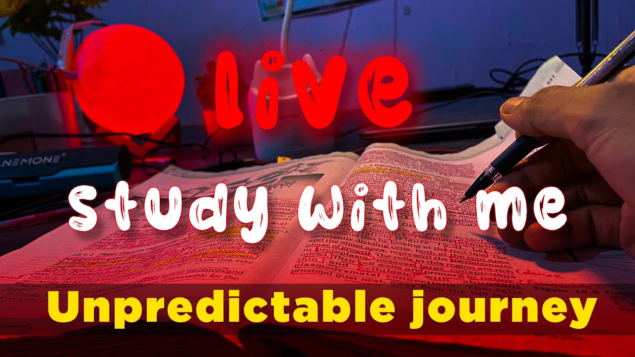 12 HOURS + 🔴LIVE STUDY WITH ME - YouTube