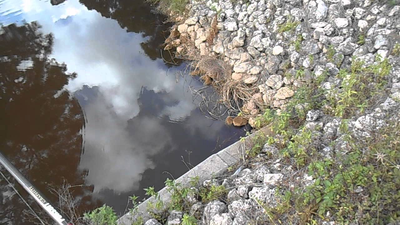 extreme ditch fishing #3...bass in pipe 1/6/15 - YouTube