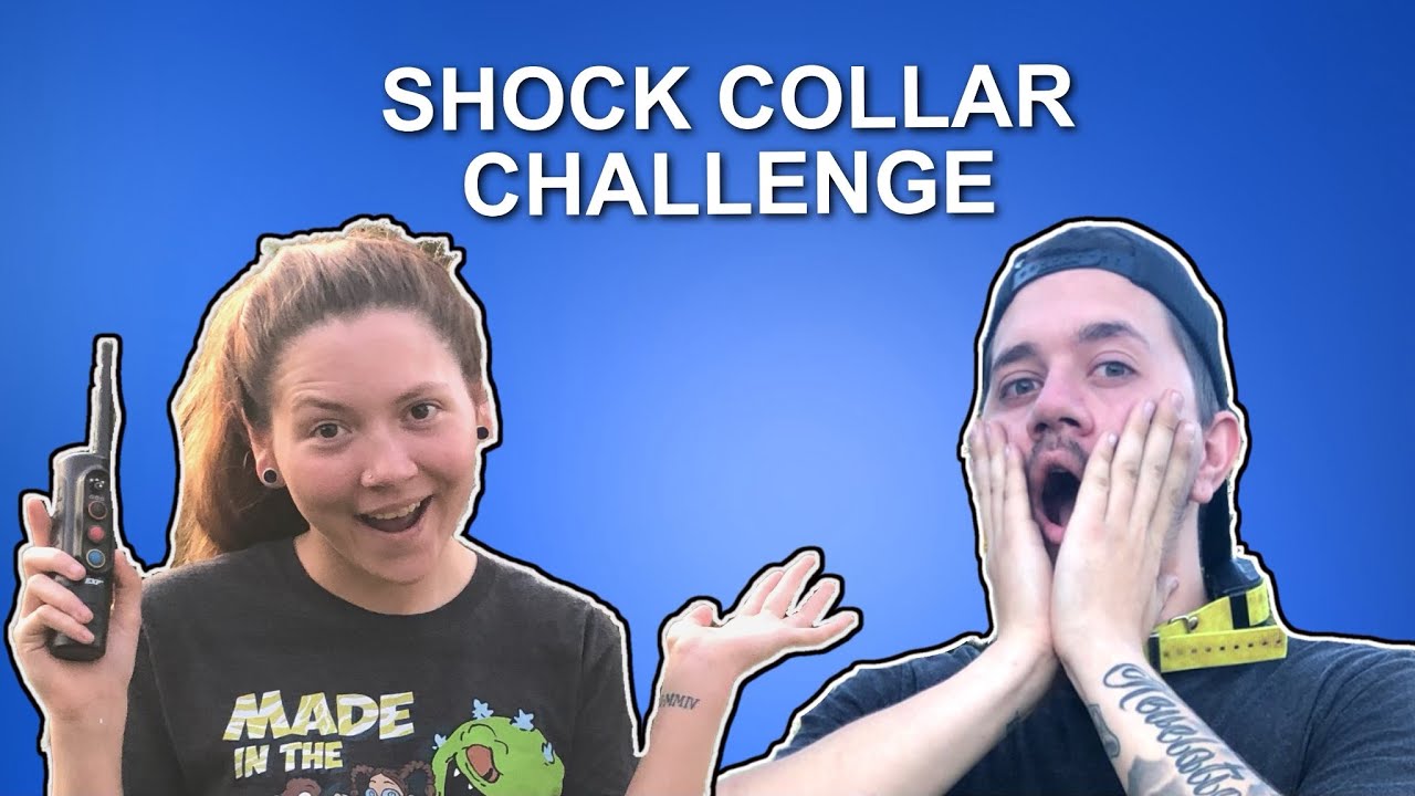 Shock Collar Challenge Youtube
