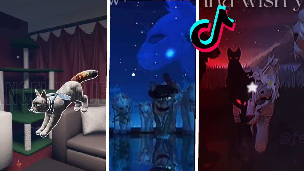 WCUE tiktok compilation #2 || SunStep WCUE || Credits: Desc ...