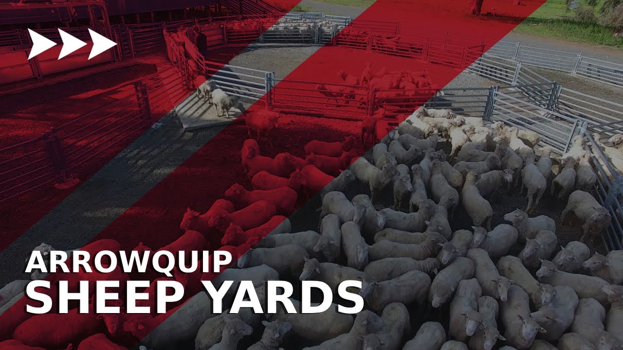 Arrowquip Sheep Yards - YouTube