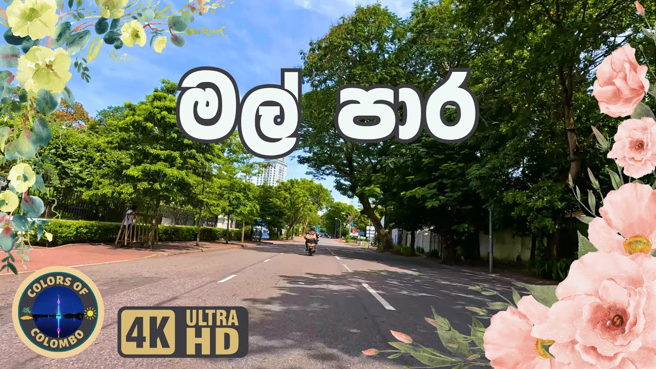 Flower Road, Colombo 07 | මල් පාර, කොළඹ 07 - YouTube