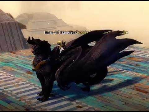 Guild Wars 2: Mounts Showcase - YouTube