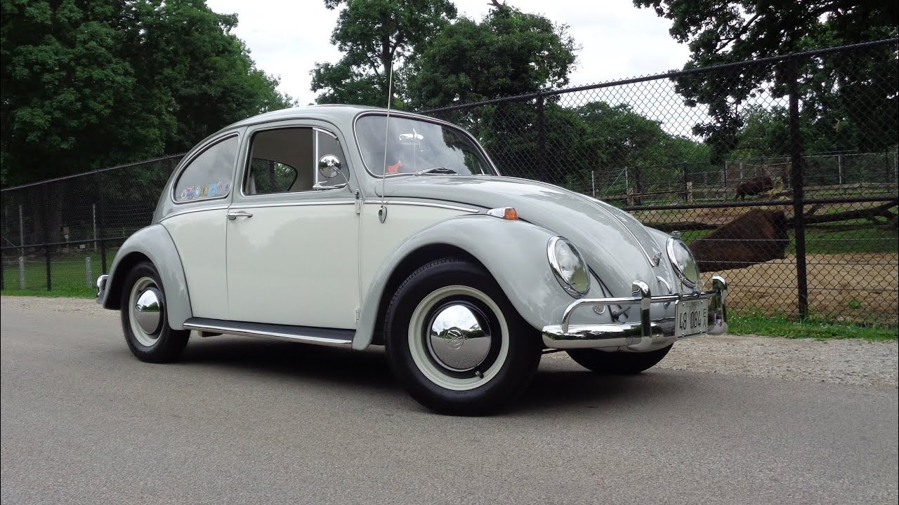Beetle & Bison ! 1965 Volkswagen VW Bug & Ride on My Car Story with Lou ...