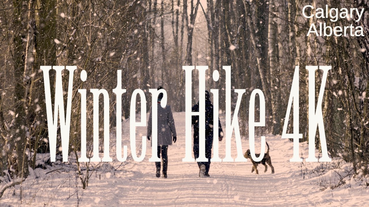 [4K] Winter Hike through Snowy Path in the City of Calgary Canada # ...