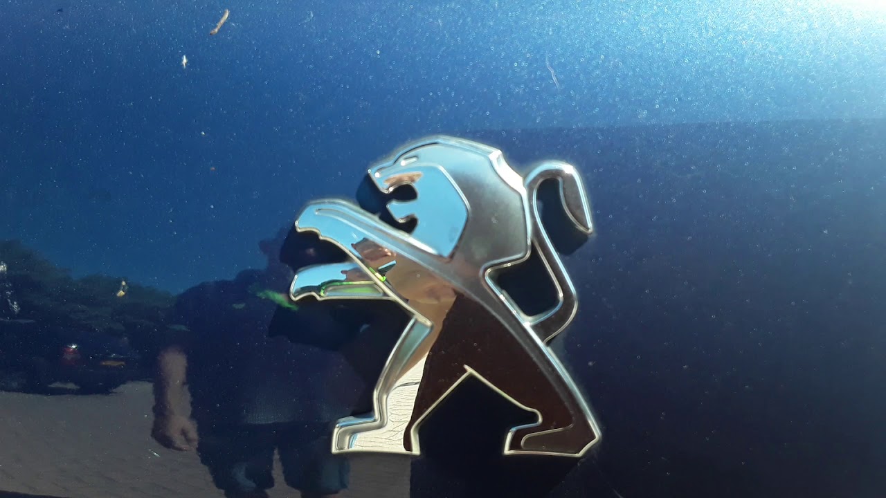 Raad het auto merk quiz - YouTube