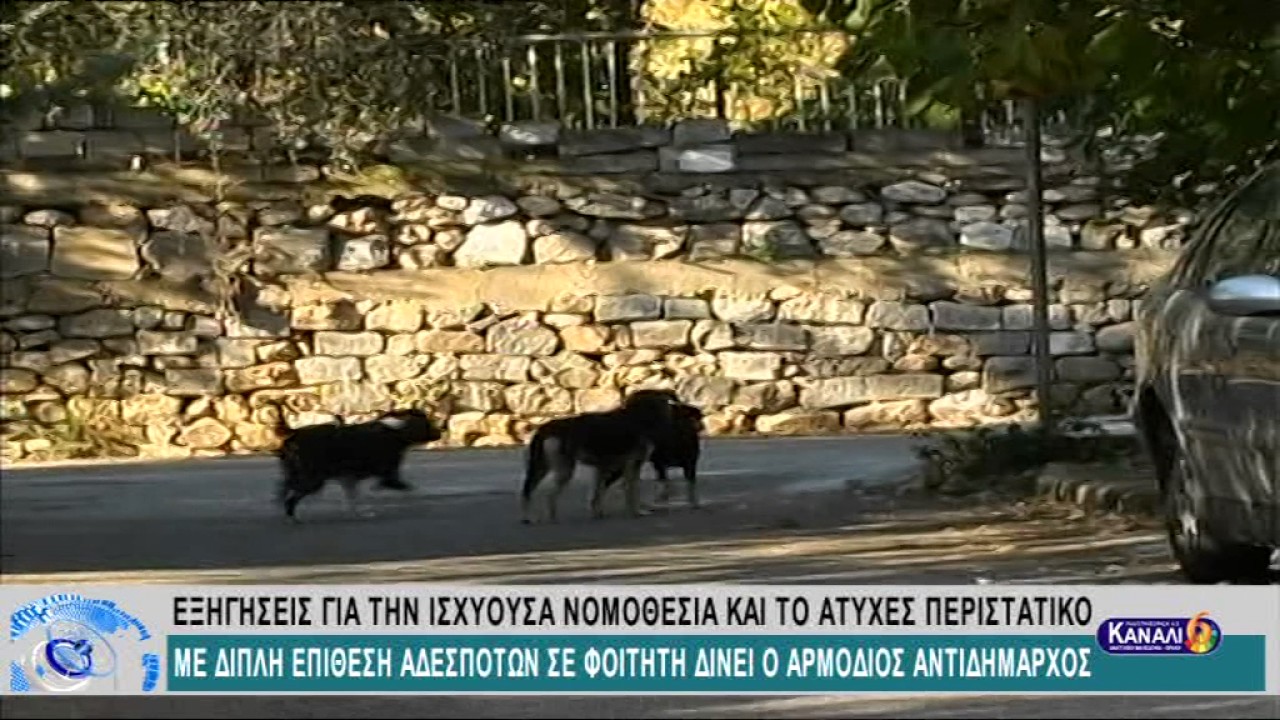 ΕΞΗΓΗΣΕΙΣ ΓΙΑ ΤΗΝ ΙΣΧΥΟΥΣΑ ΝΟΜΟΘΕΣΙΑ ΚΑΙ ΤΟ ΑΤΥΧΕΣ ΠΕΡΙΣΤΑΤΙΚΟ ΜΕ ΔΙΠΛΗ ...