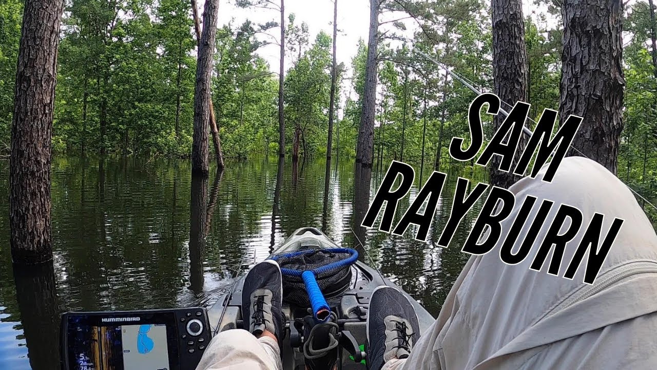 Sam Rayburn - Kayak Fishing Tournament - YouTube