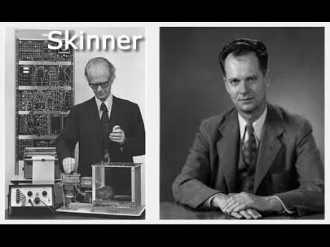 La máquina de Skinner - YouTube