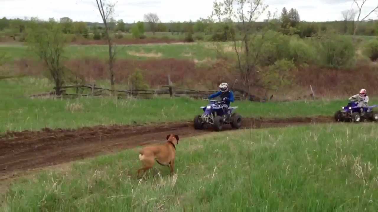 Yamaha Banshee vs Yamaha Blaster - YouTube