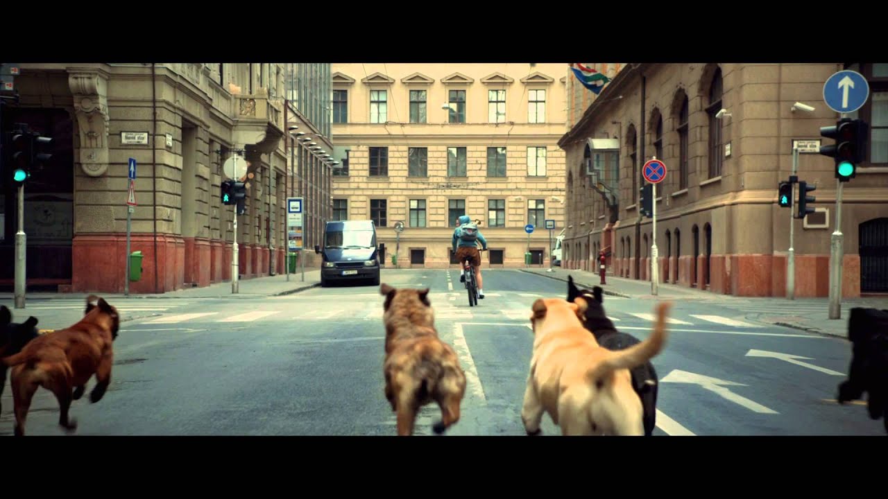 White God - Bande-annonce - YouTube