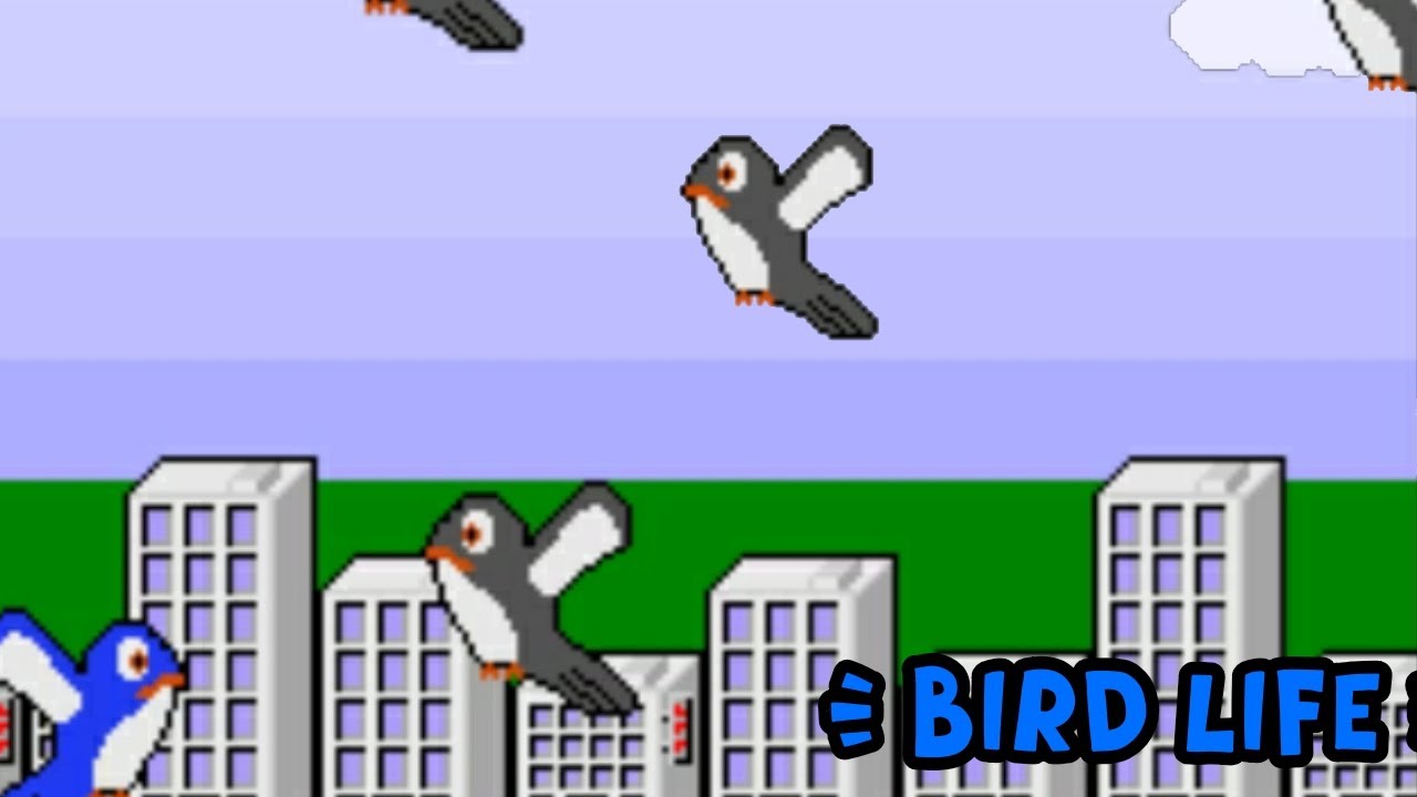 Bird Life Gameplay homebrew games PlayStation Portable - YouTube