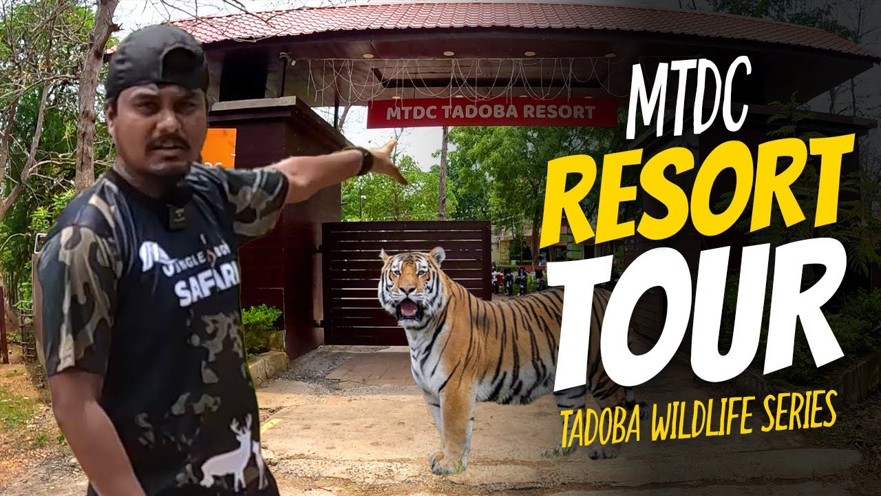 MTDC Resort Tadoba | Resort Review | VLOG | TATR | #wildlife #nature # ...