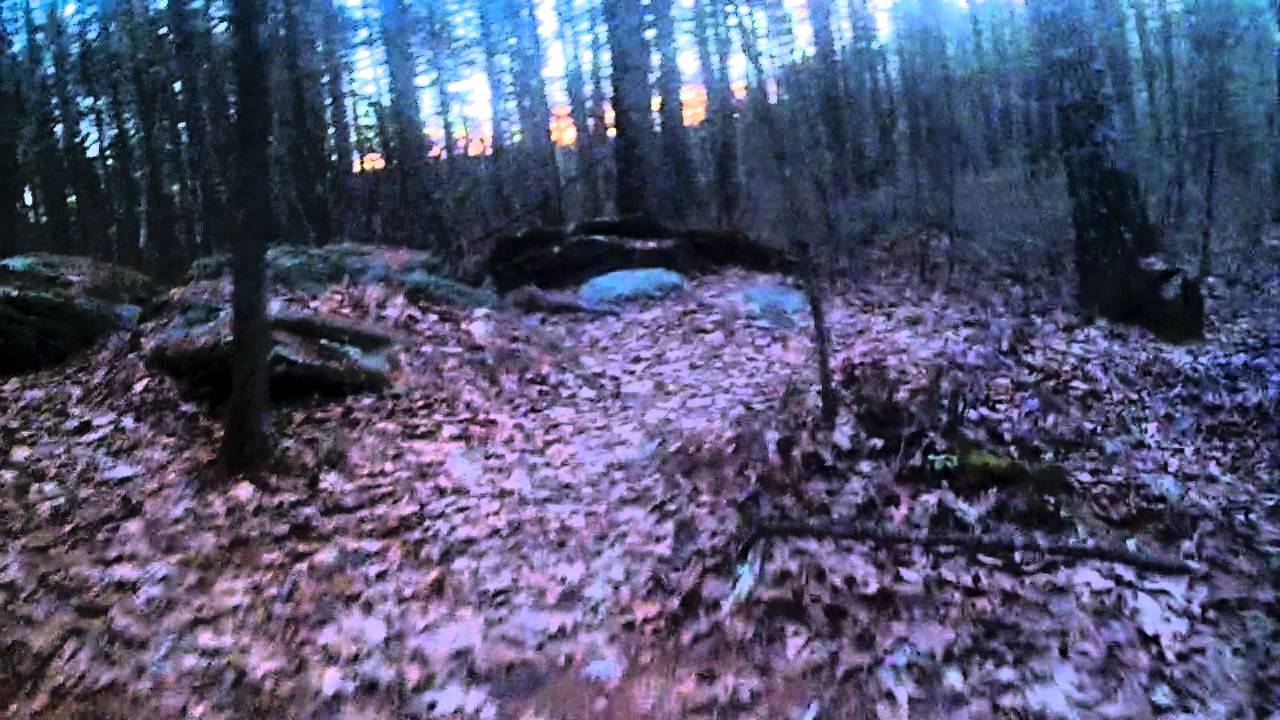 Keyes Loop at Great Brook State Park - YouTube