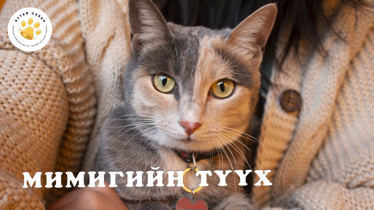 Ургамал иддэг хөөрхөн Мими Амьтанд хайртай хүмүүс цуврал дугаар 26