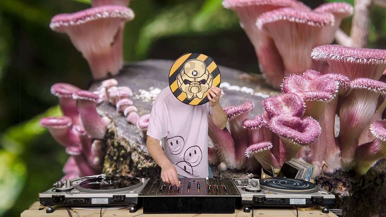 Jaquarius - Dj Set - Acid Techno Oldschool - Woody McBride Like - YouTube