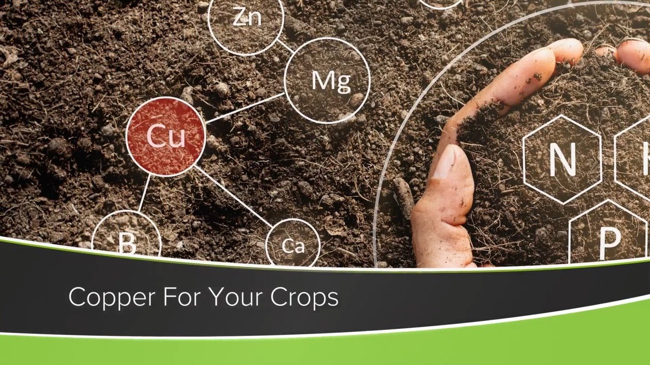 Copper For Your Crops (From Ag PhD Show #1182 - Air Date 11-29-20 ...
