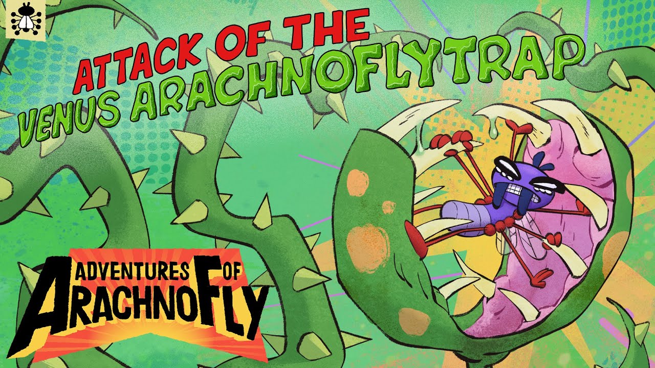 Attack of the Venus ArachnoFlytrap 🐦🐝 Adventures of ArachnoFly 🕷️🦸‍♂️🦟 ...