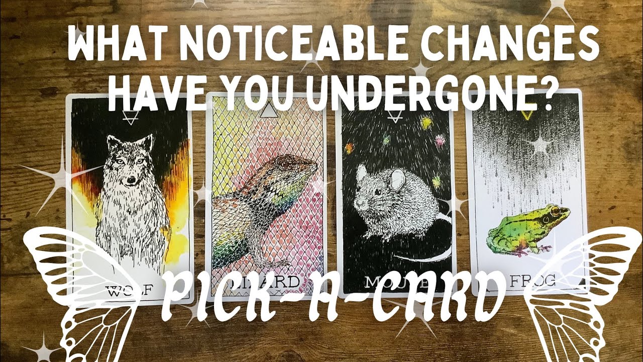 What noticeable changes have you undergone? 🦋 Pick-A-Card Timeless ...