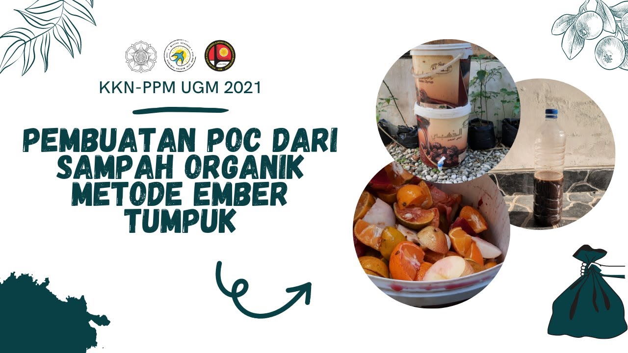 Pembuatan Pupuk Organik Cair (POC) dari Sampah Organik Metode Ember ...