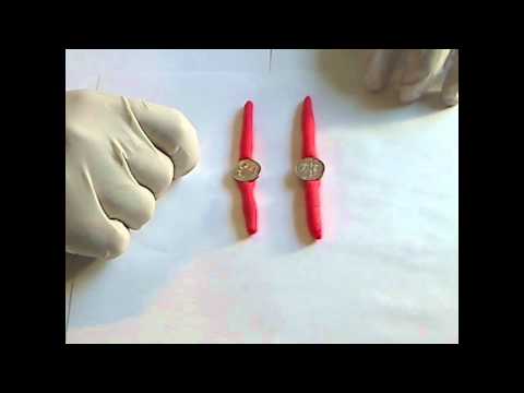 Episode 1:  Primate chromosomes, from 48 to 46