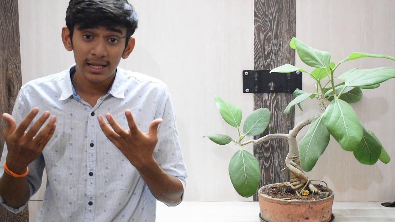 " I Hate India " - Confused?? Watch the video to find answer |Part 1 ...