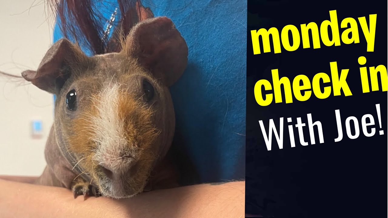 Checking in With Joe & Chat About Weekend Event ️ Southern California ...