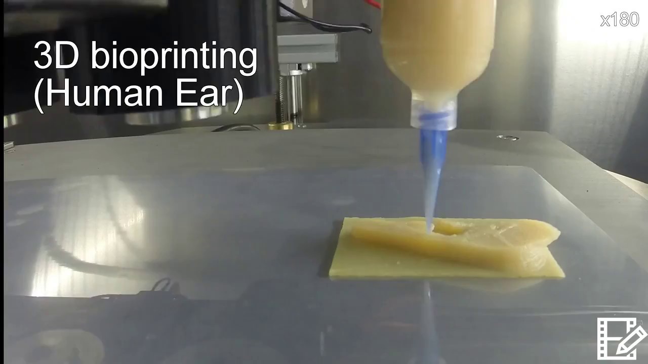 Ear bioprinting - YouTube