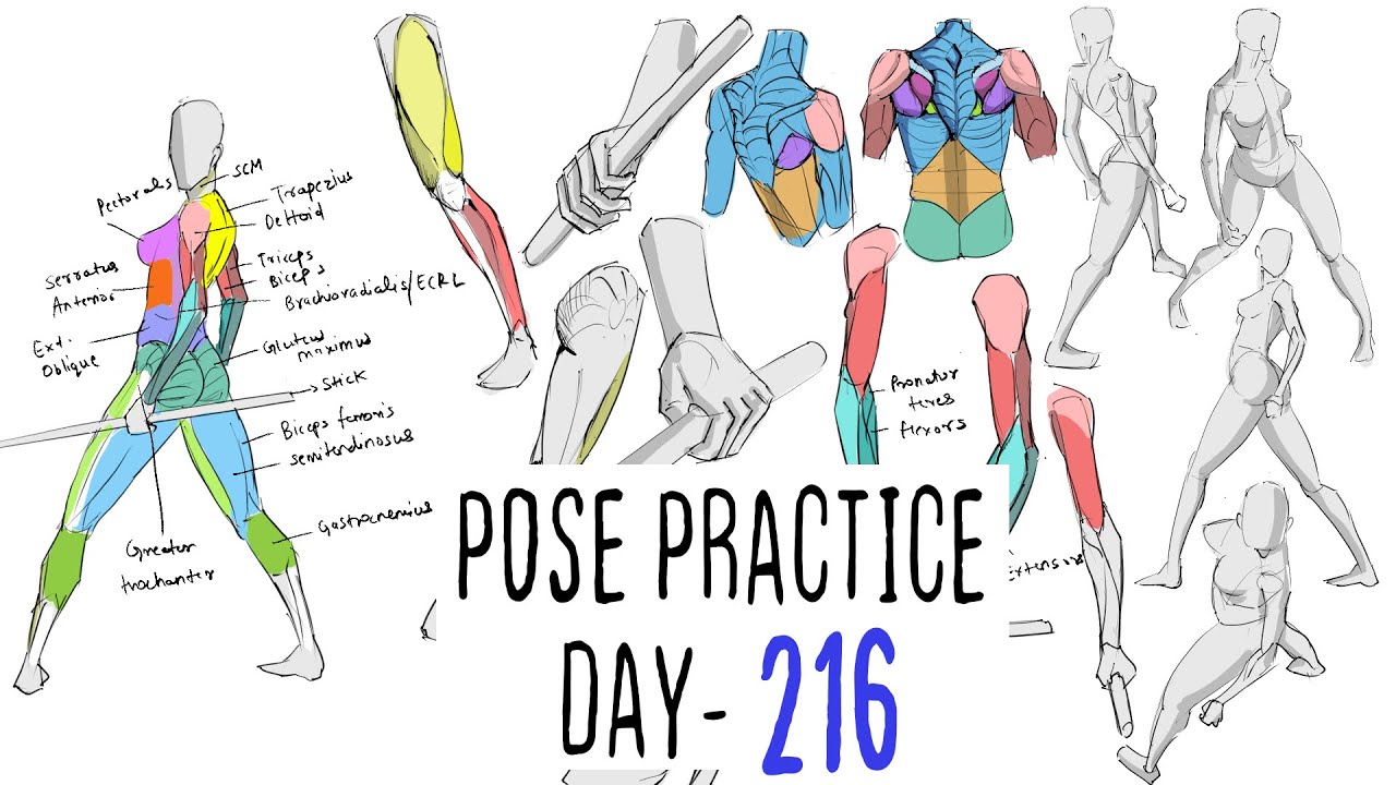 Daily Pose Practice Part 216 - YouTube