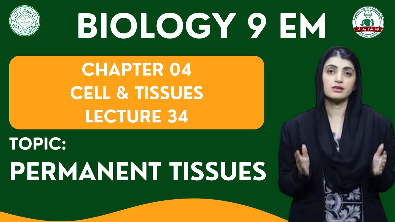 Permanent tissues | Grade 9 Biology | CHP 04 | LECTURE 34 | - YouTube