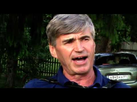 Дембеля - YouTube