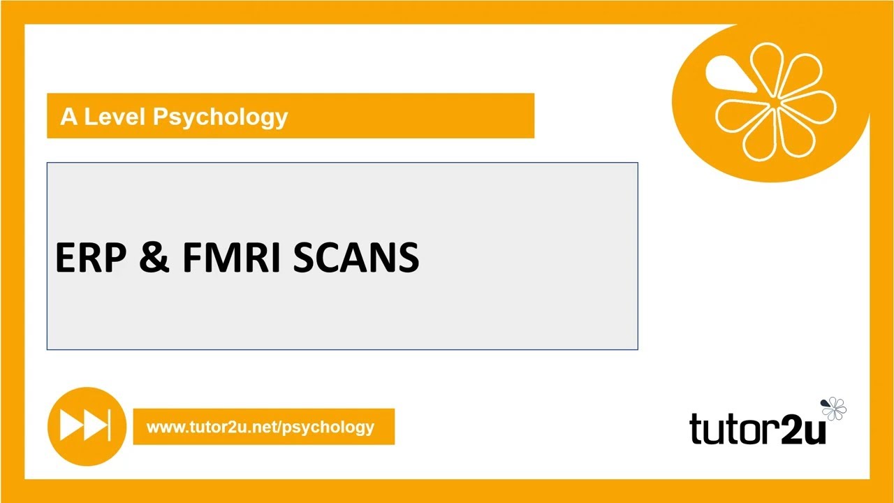 ERP & FMRI Scans Explained | Biopsychology | A-Level Psychology - YouTube