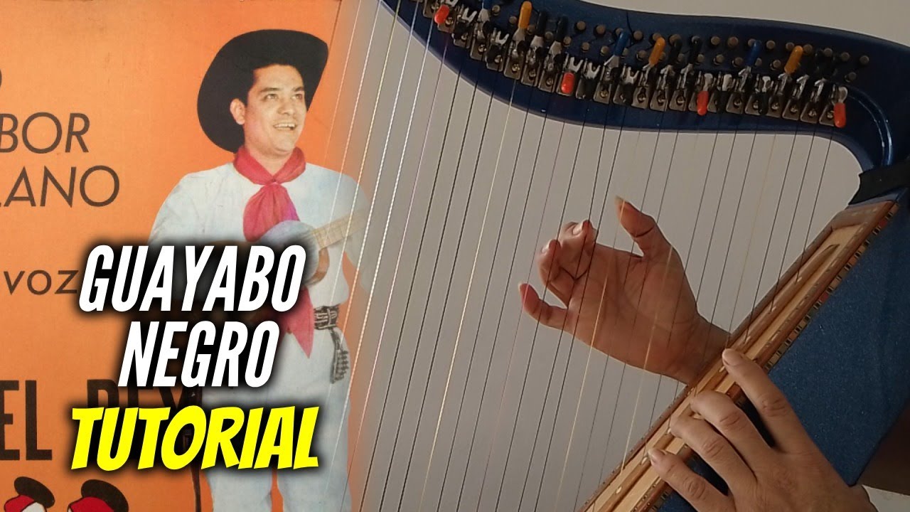 🎶GUAYABO NEGRO - TUTORIAL EN ARPA - FACIL Y RAPIDO - GILBERTO PEREZ ...