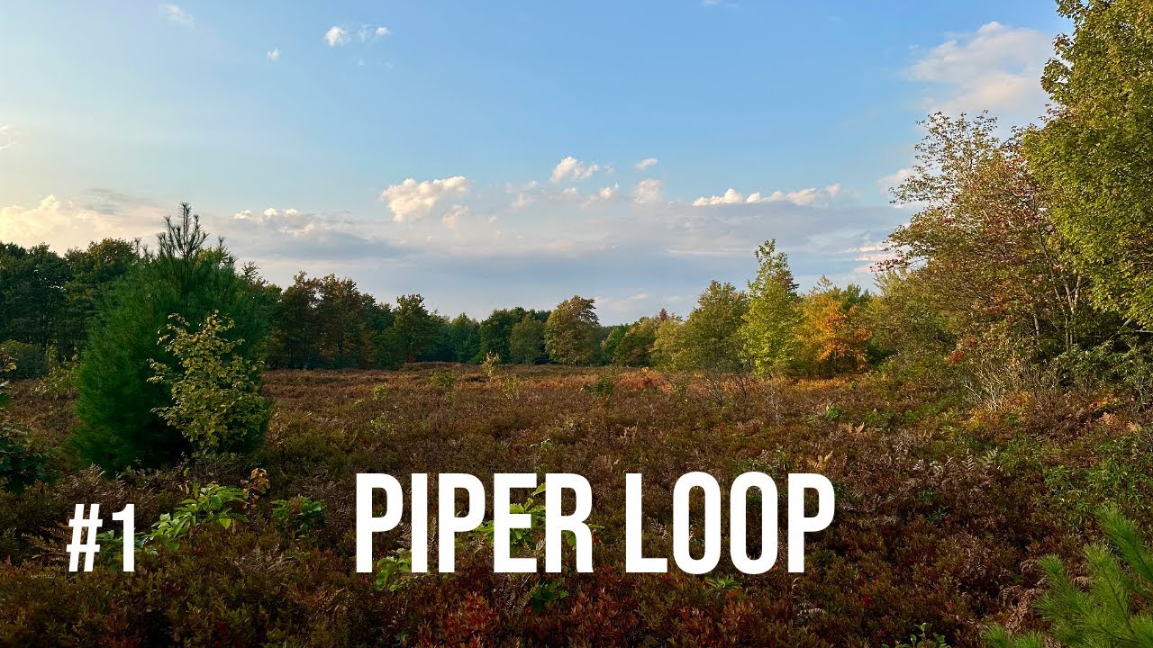 Early Fall Backpacking In The Quehanna Wilds - Piper Loop Part 1 - YouTube