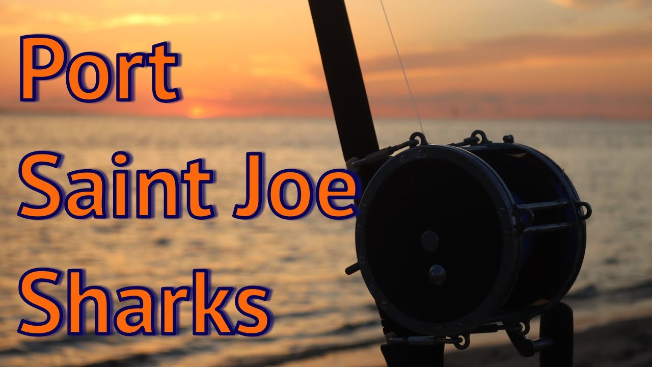 Breaking Out the Shark Gear! - YouTube