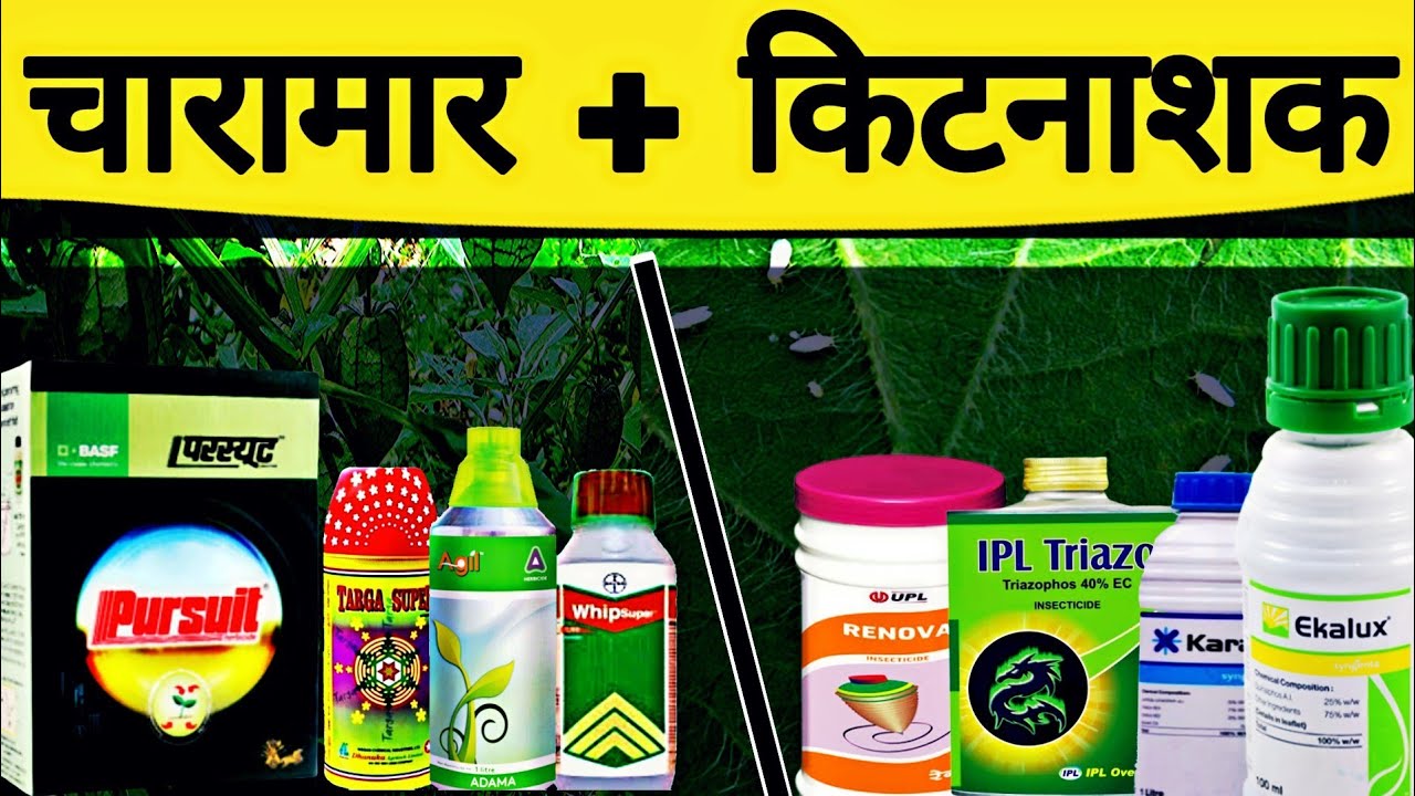 खरपतवार नाशक दवाई के साथ किटनाशक डाले या नही | Insecticide use with ...