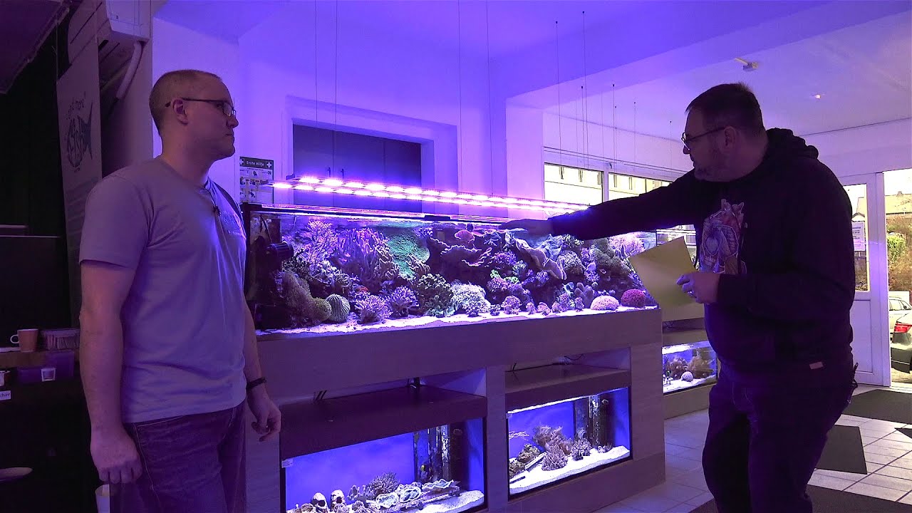 Geht Meerwasser ohne Abschäumer und Technikbecken? Besuch bei Fish n ...