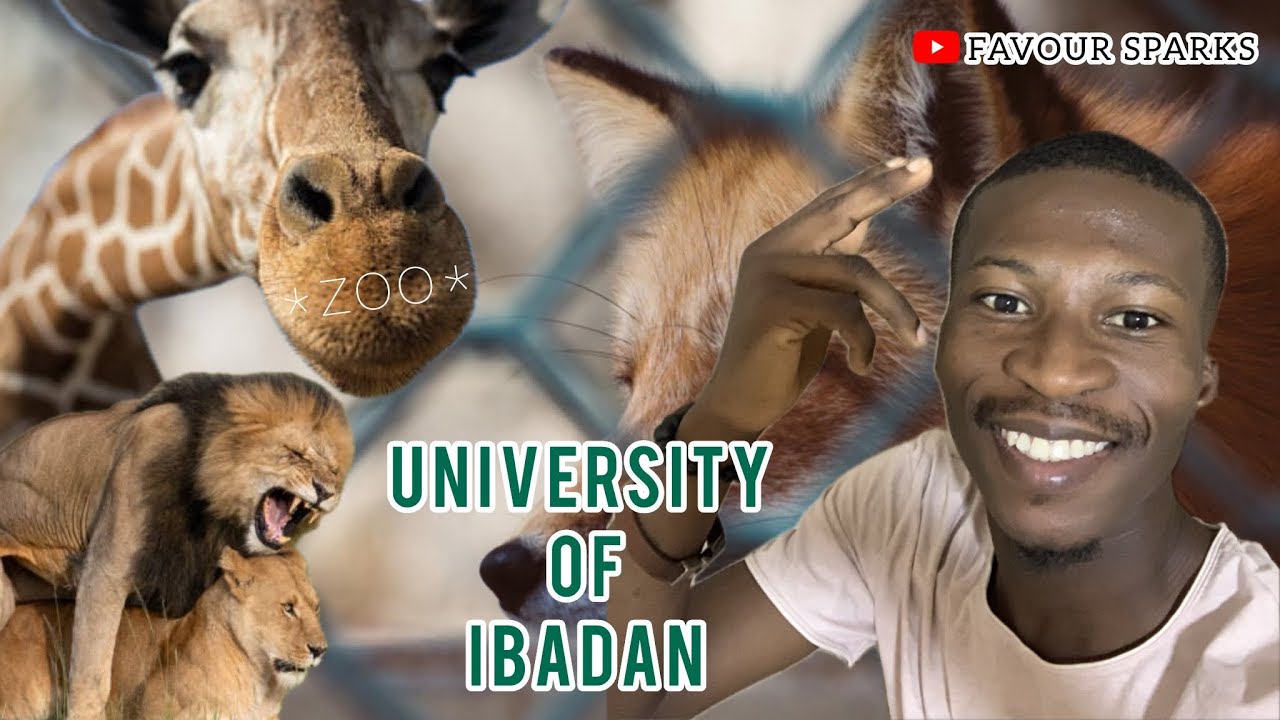 University of Ibadan Zoological garden | UI ZOO | (most watched video ...