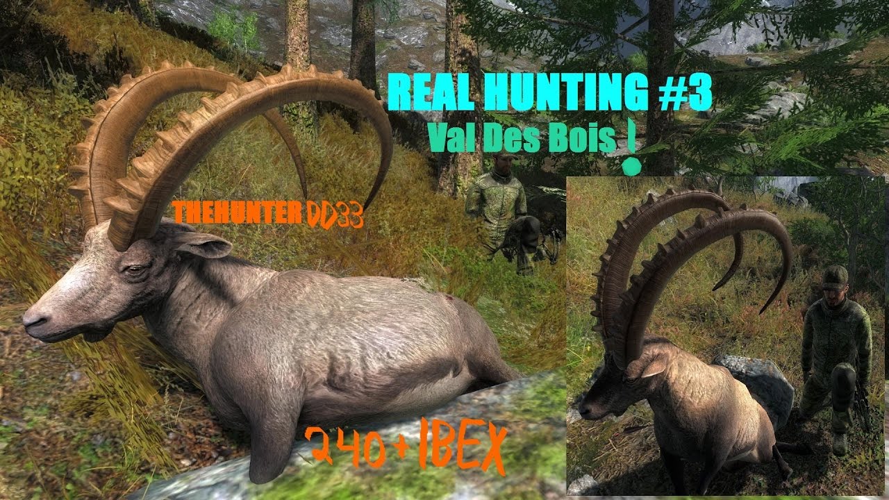 REAL HUNTING#3 *Val Des Bois* IBEX!! THEHUNTER DD33 - YouTube
