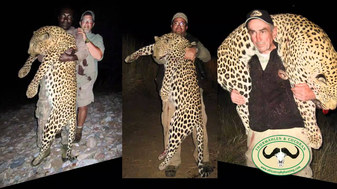 Leopard crawl - YouTube