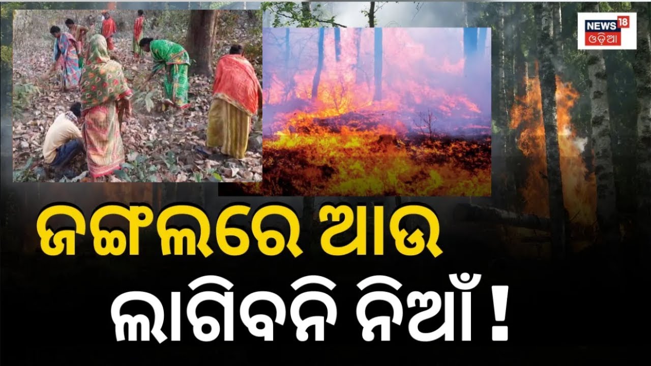 Angul News | Forest Fire ରୋକିବାକୁ ସଚେତନ ହେଲେ ୩୦ ଖଣ୍ଡ ଗ୍ରାମର ଲୋକେ ...