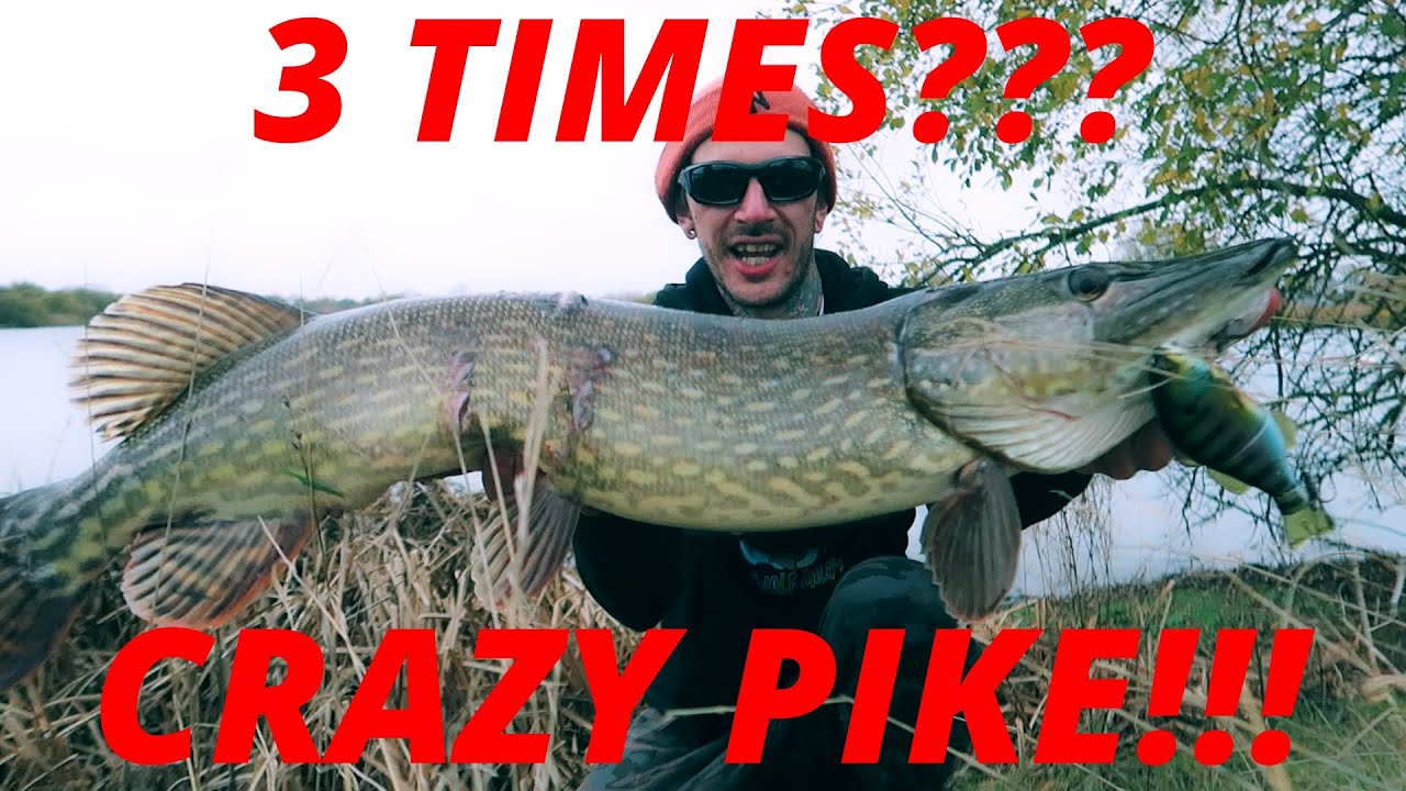 Unbelievable Monster Pike Fishing! - YouTube
