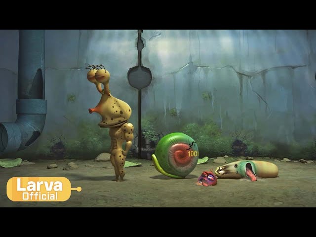 Snail | Animation Compilation | Larva Tuba | Official - Videos For Kids