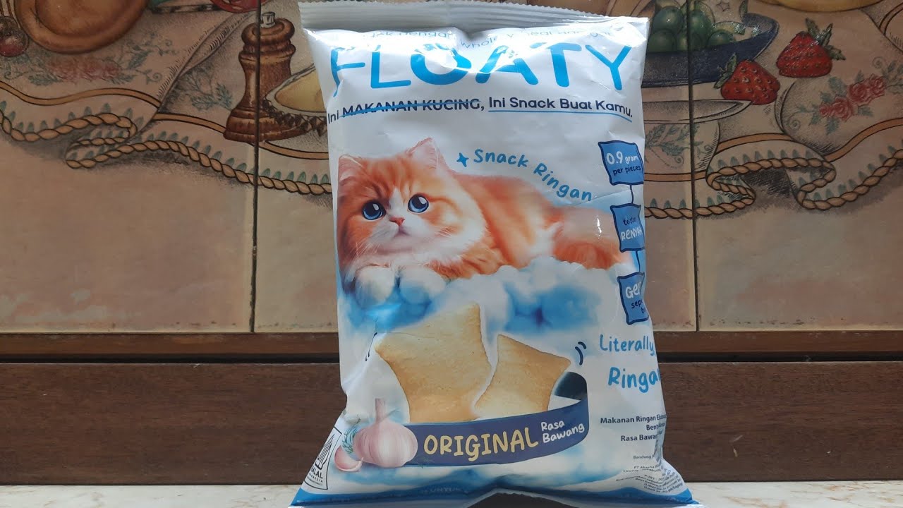 FLOATY! INI BUKAN MAKANAN KUCING! INI CAMILAN UNTUK KAMU! - YouTube