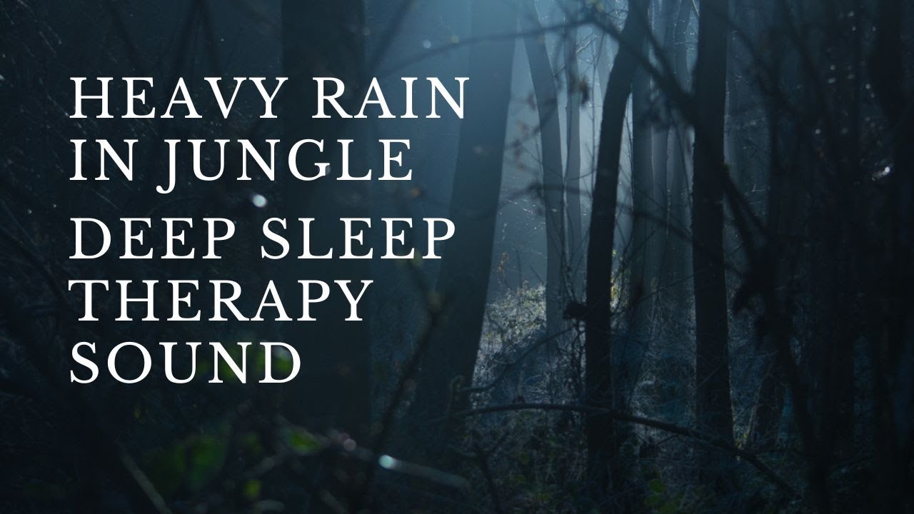 HEAVY RAIN IN FOREST | DEEP SLEEP THERAPY SOUNDS | - YouTube