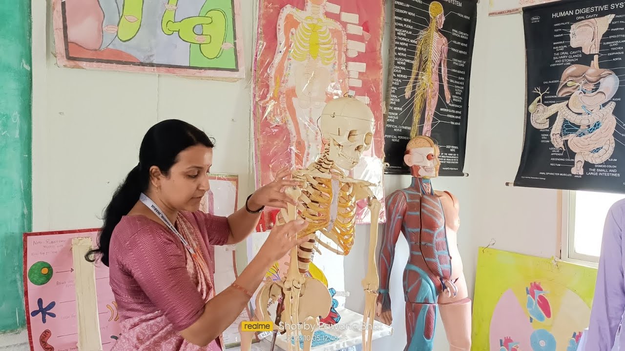 Topic - Human skeleton ( Biology Class ) - YouTube