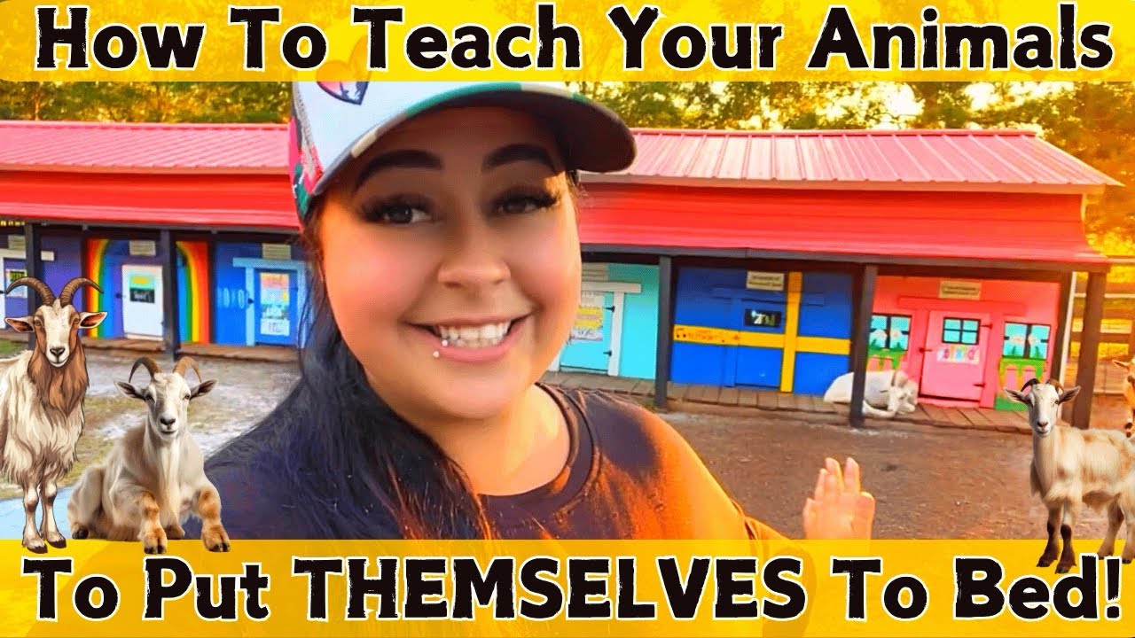 How to teach your Animals to put THEMSELVES to bed😎 - YouTube